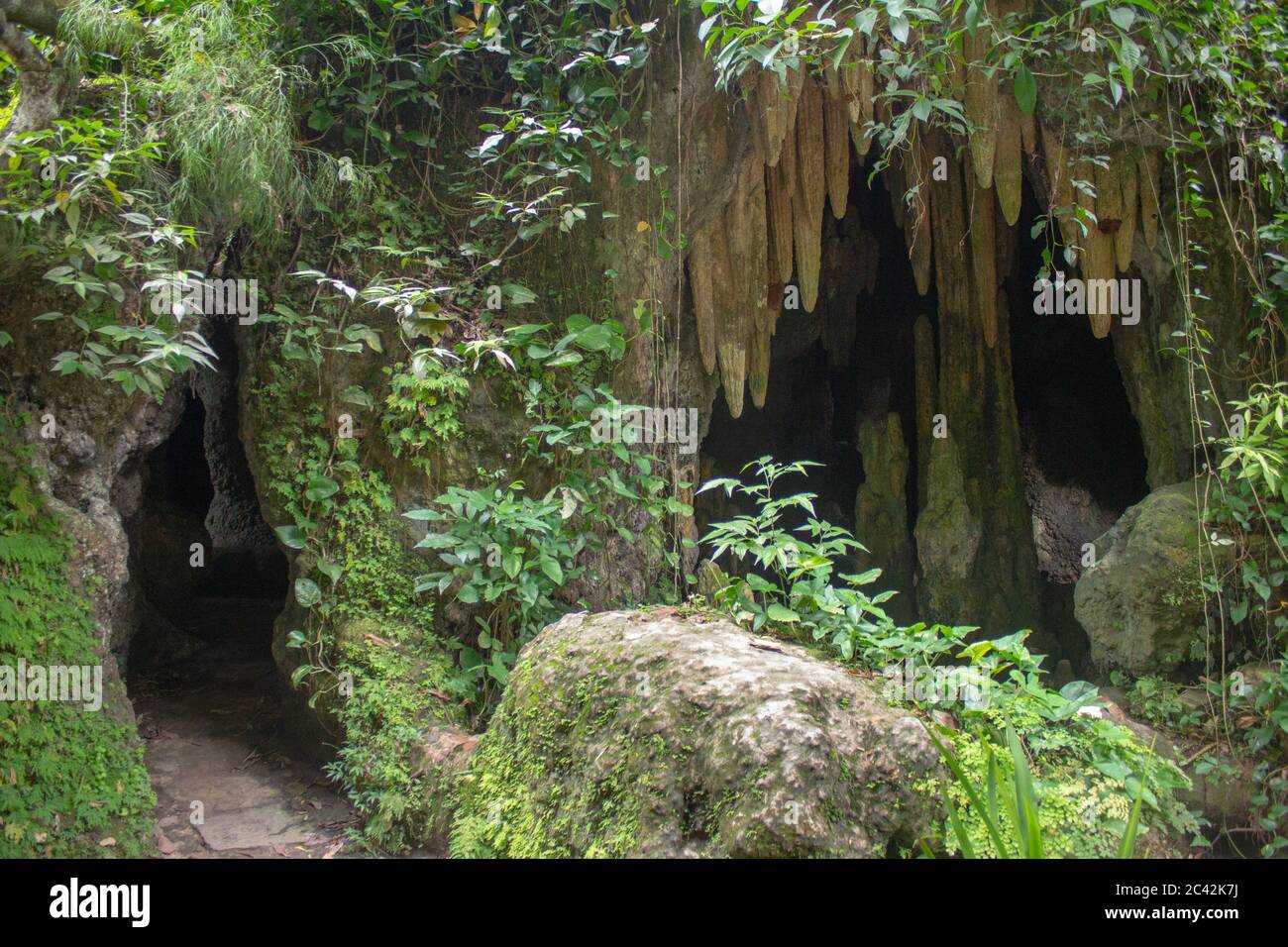 Parque lage Banque de photographies et d’images à haute résolution - Alamy