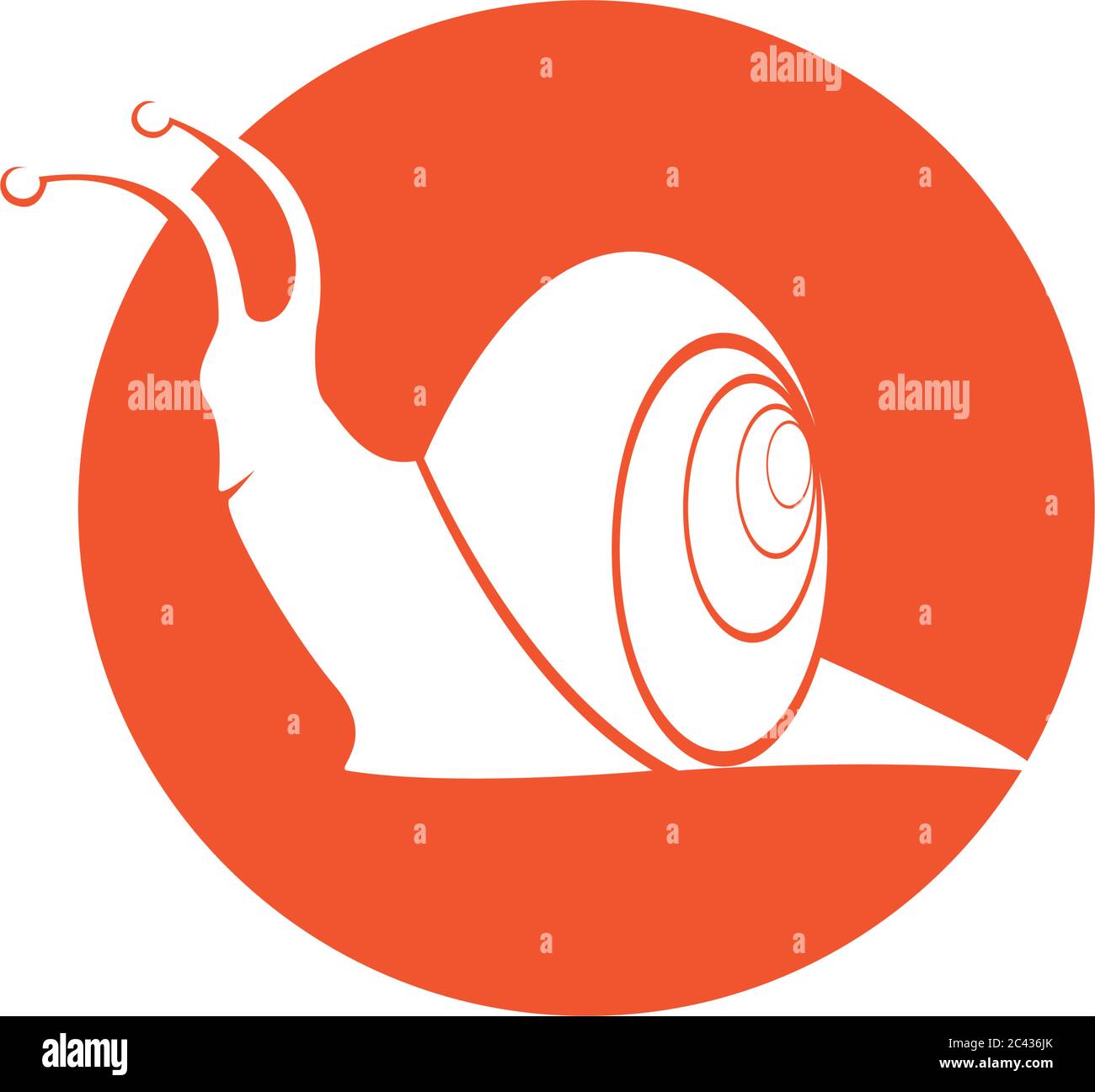 Modèle logo escargot illustration de l'icône vectorielle Image ...