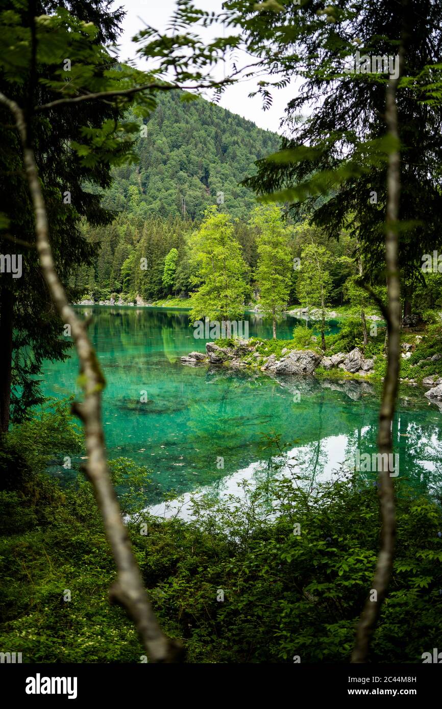 Lac laghi di fusine italie Banque de photographies et d’images à haute ...