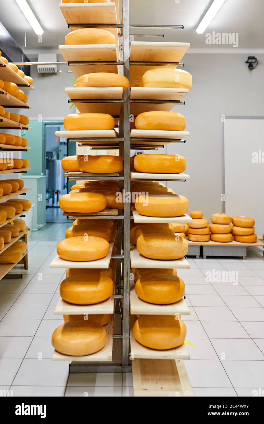 Maturation de la production de fromage Banque de photographies et d ...