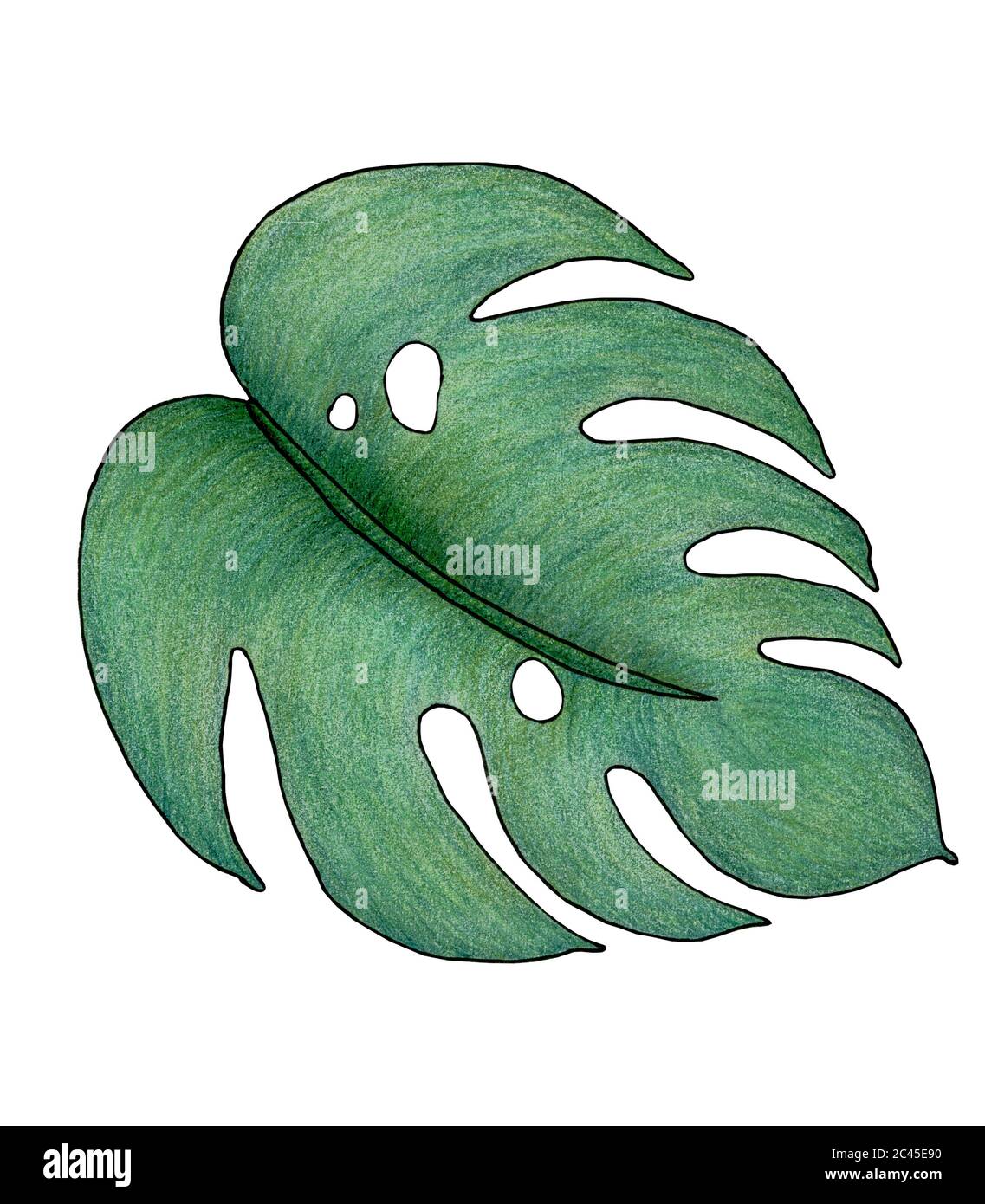 Feuille Tropical Dessin