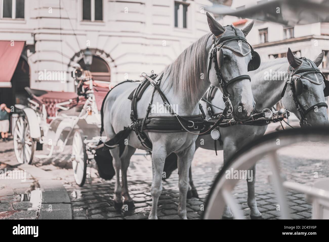 Chevaux fiacre Banque de photographies et d’images à haute résolution ...