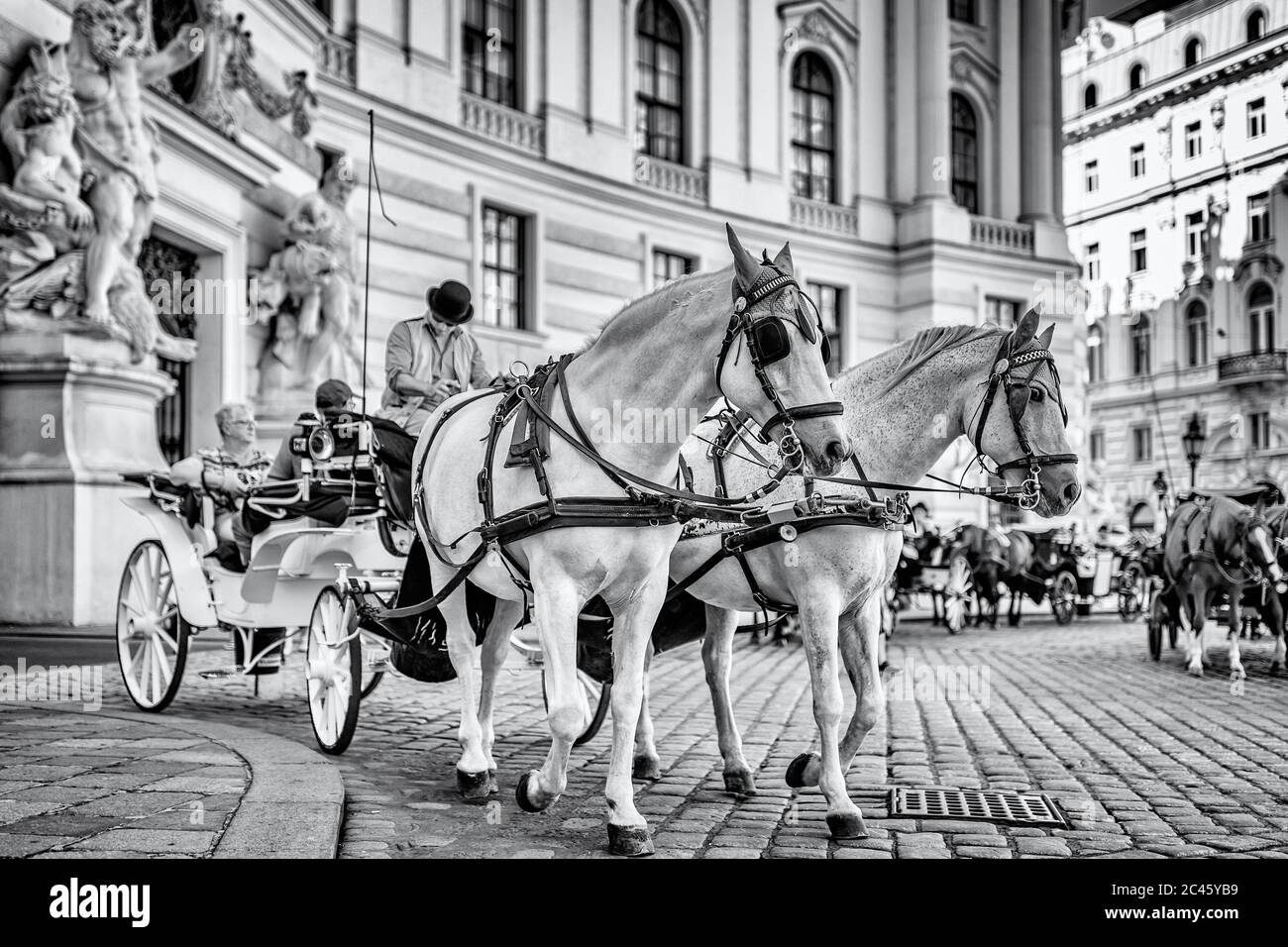 Chevaux fiacre Banque de photographies et d’images à haute résolution ...
