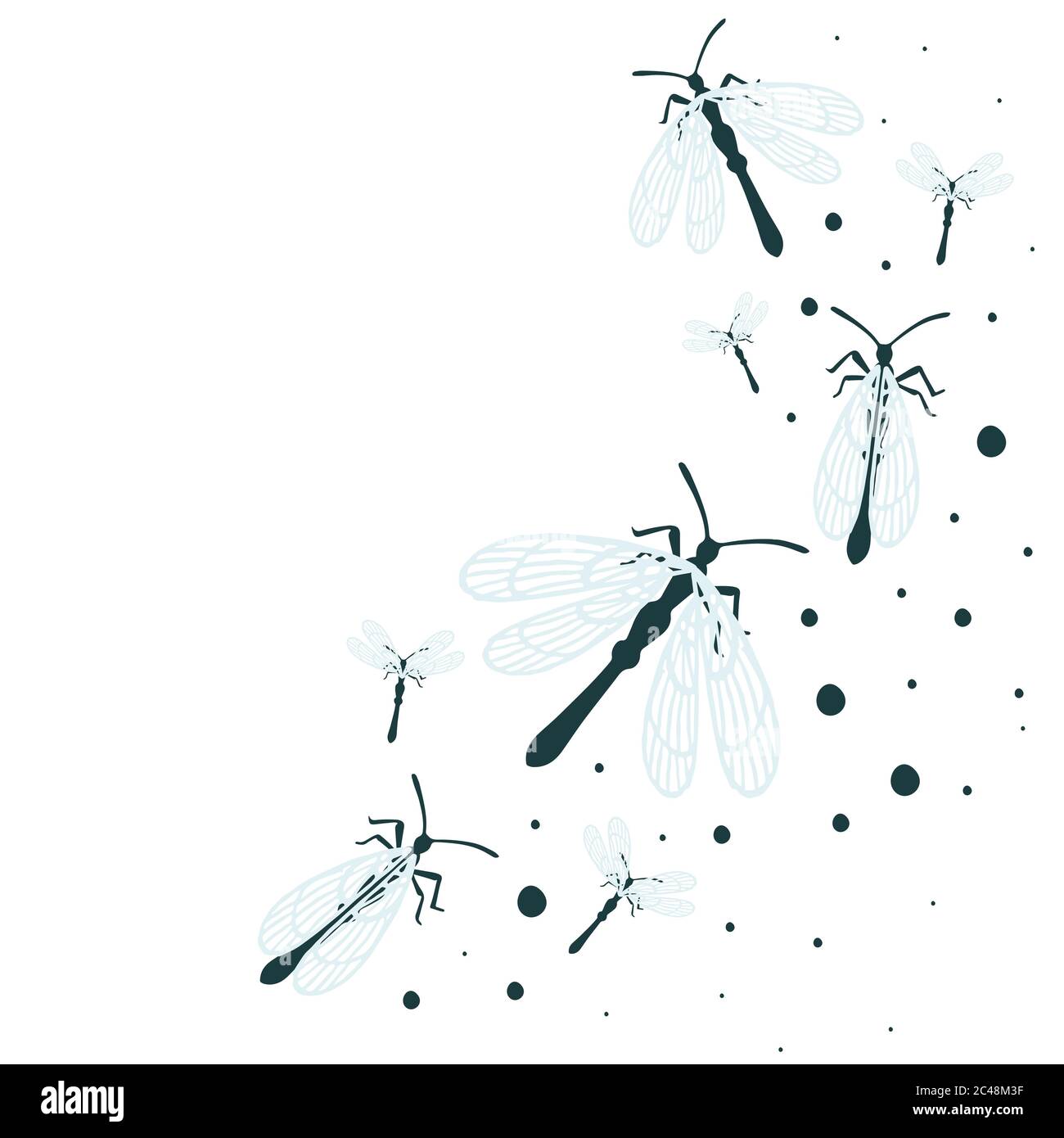 Motif avec un simple coléoptère plat avec différentes ailes insectes ...