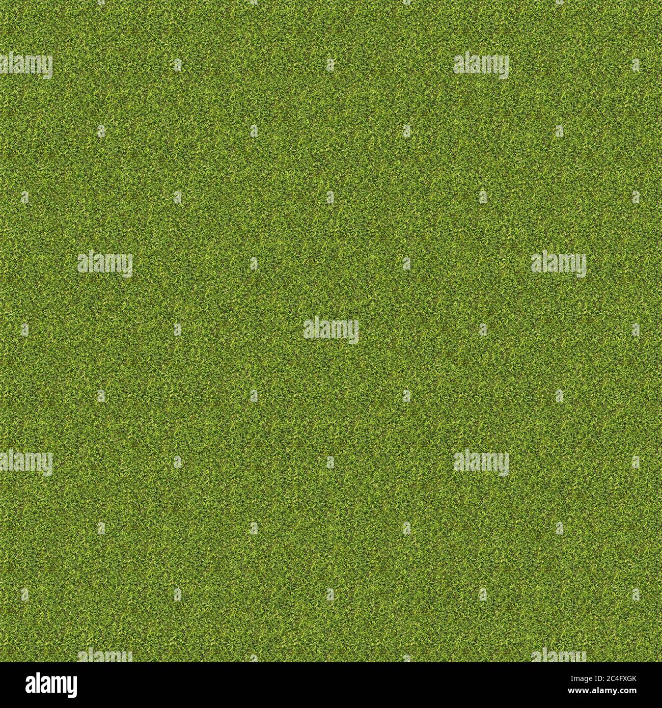 Grass seamless texture Banque de photographies et d’images à haute ...