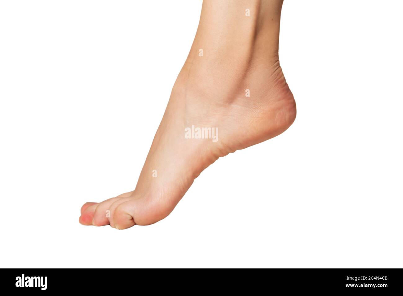 Peau sèche au talon Banque de photographies et d’images à haute ...