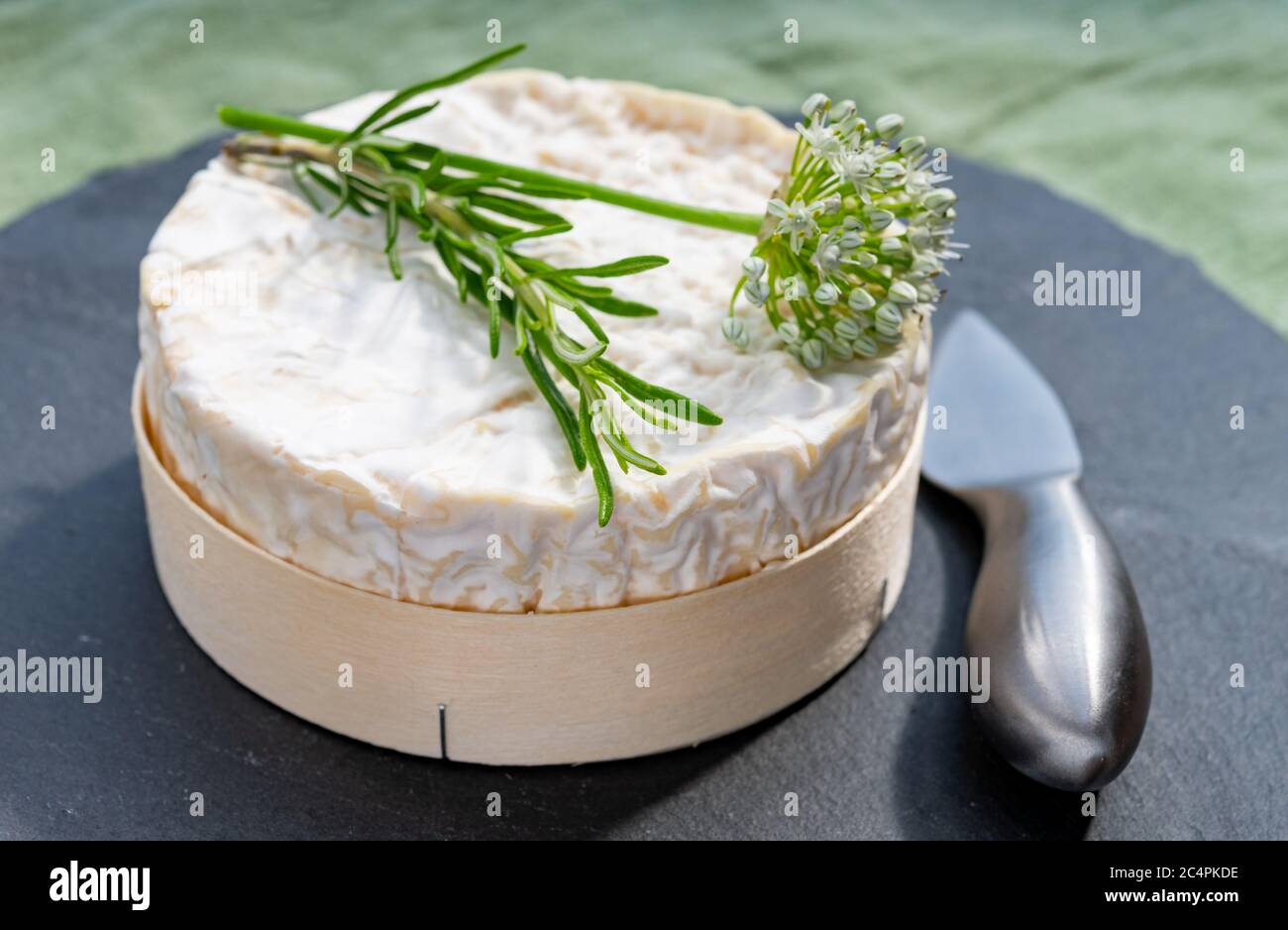 Collection de fromages français, morceau de fromage camembert au lait ...