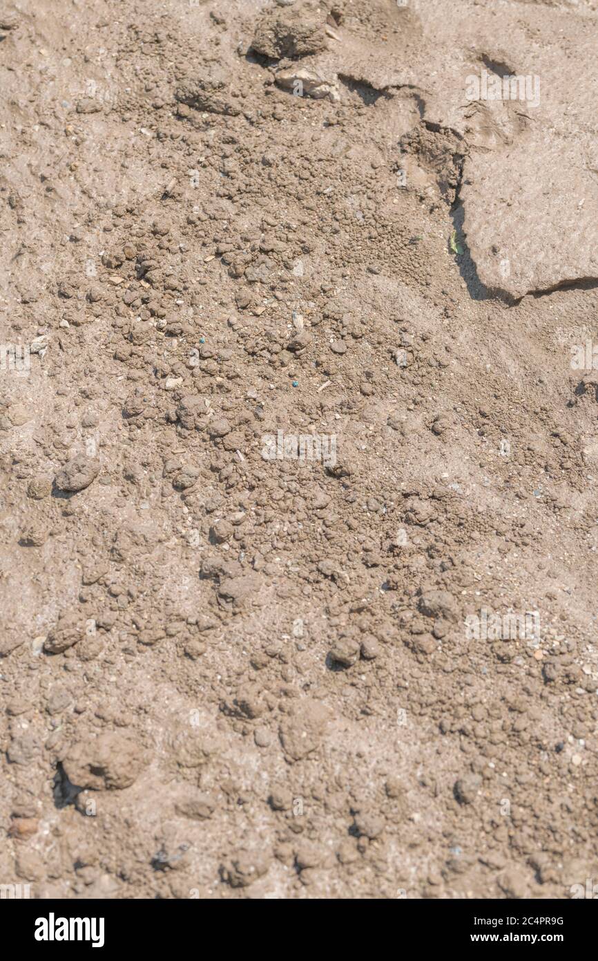 Structure du sol limoneux Banque de photographies et d’images à haute ...