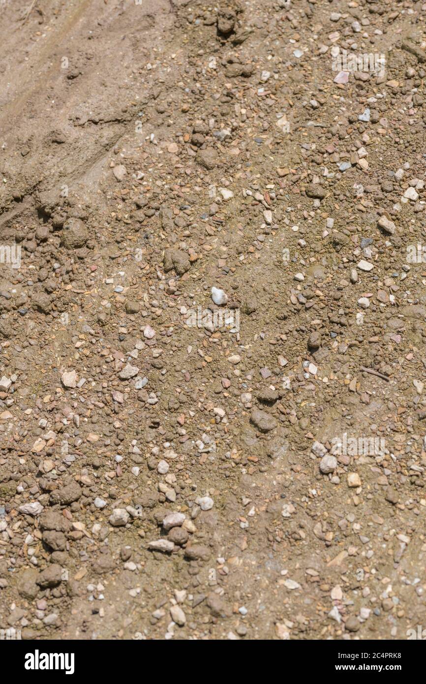 Le limon Banque de photographies et d’images à haute résolution - Alamy