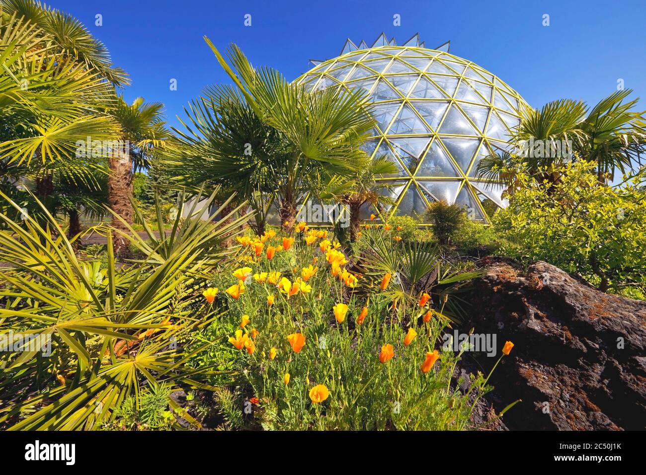 Dôme de serre Banque de photographies et d’images à haute résolution ...