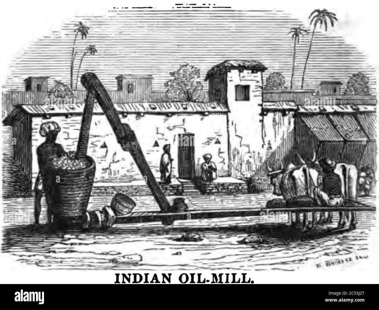 Indian oil Banque de photographies et d’images à haute résolution - Alamy