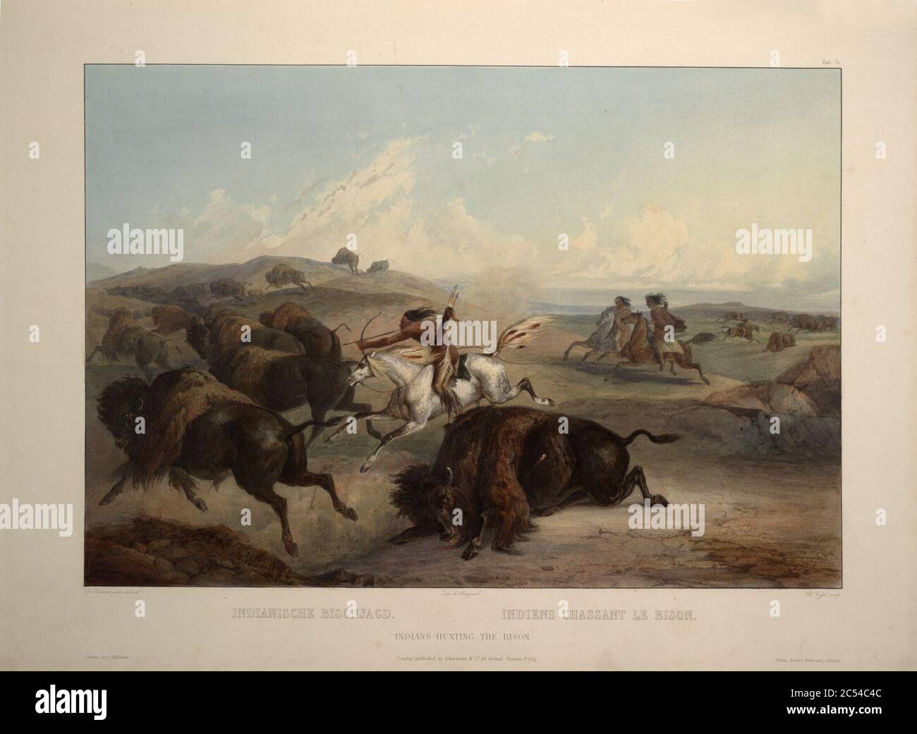 Indians hunting the bison Banque de photographies et d’images à haute ...