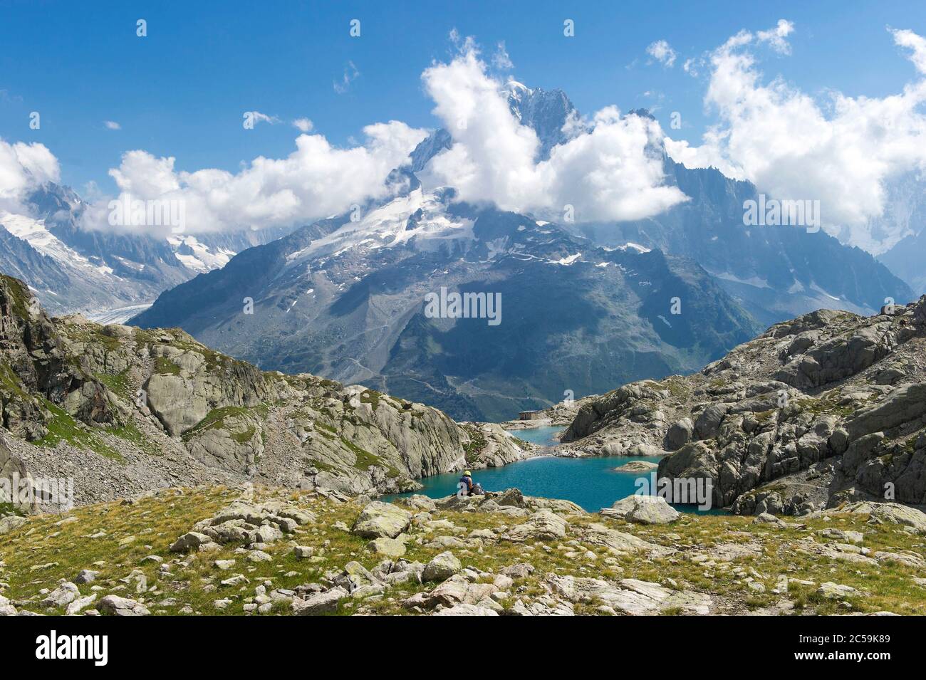 Aiguilles de verte Banque de photographies et d’images à haute ...