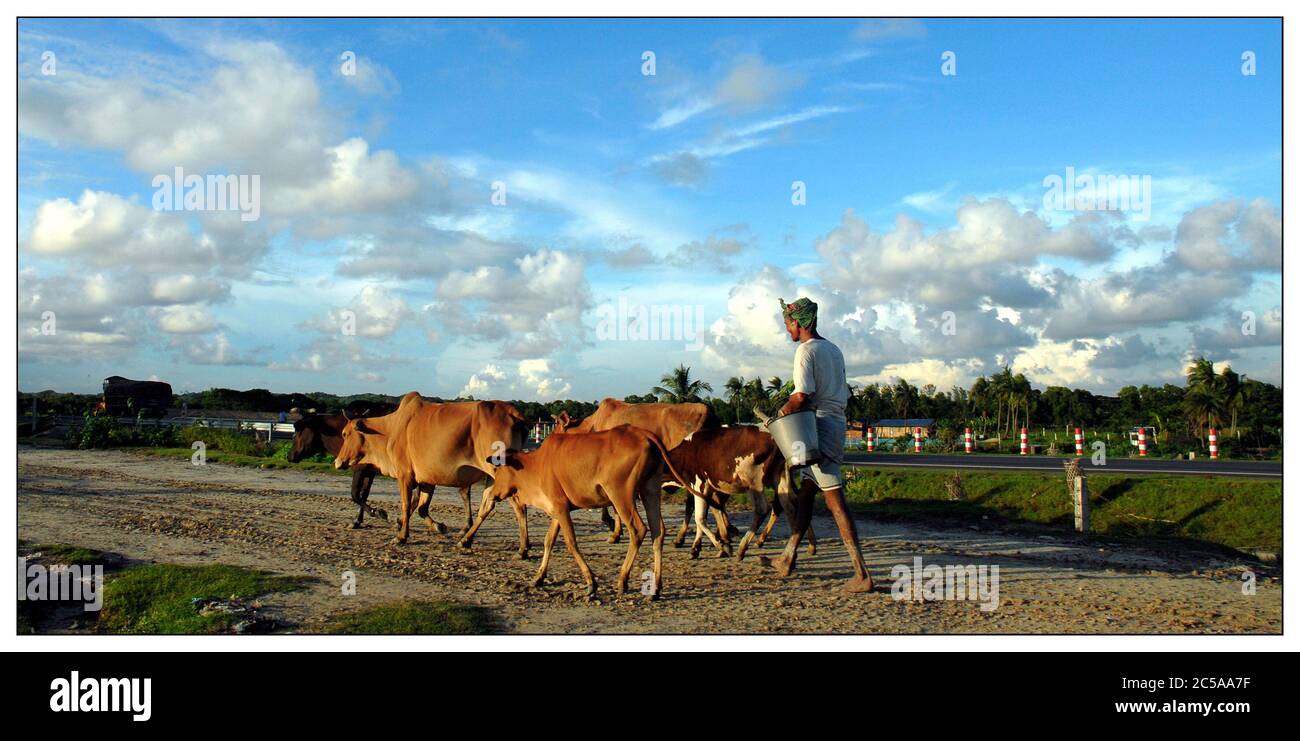 Chokoria Banque de photographies et d’images à haute résolution - Alamy