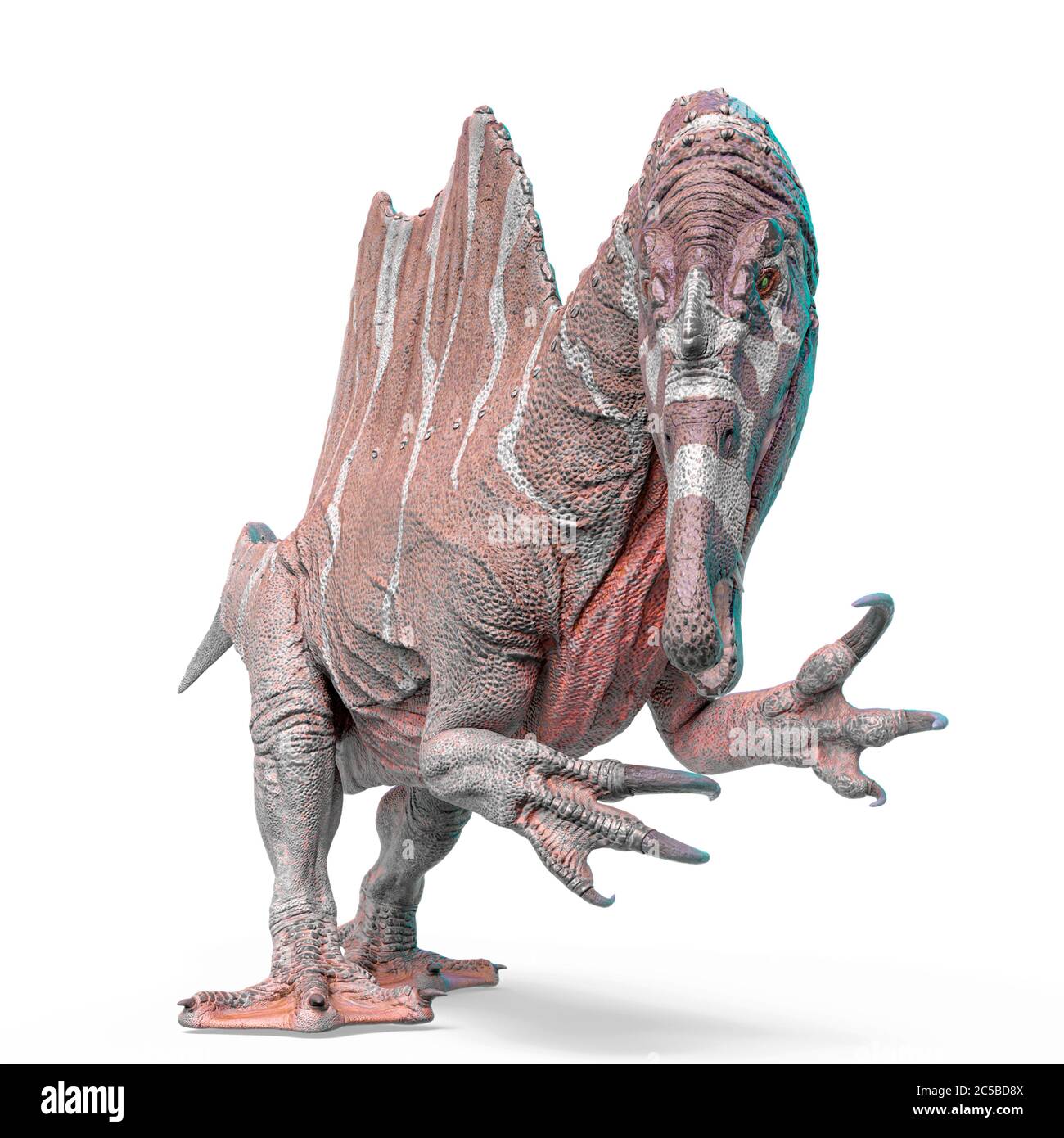vue de face du spinosaurus sur fond blanc, illustration 3d Photo Stock ...