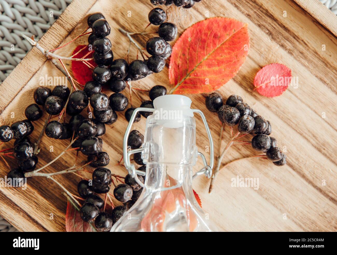 Aronia prunifolia Banque de photographies et d’images à haute ...