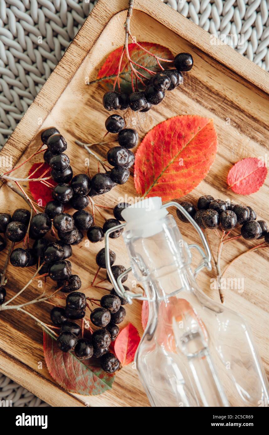 Aronia prunifolia Banque de photographies et d’images à haute ...