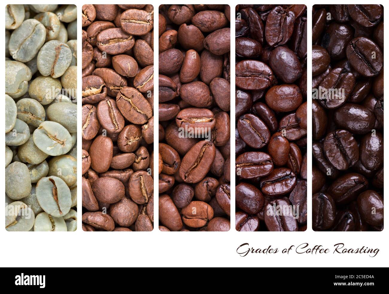 Un Collage De Grains De Café Montrant Différentes étapes De
