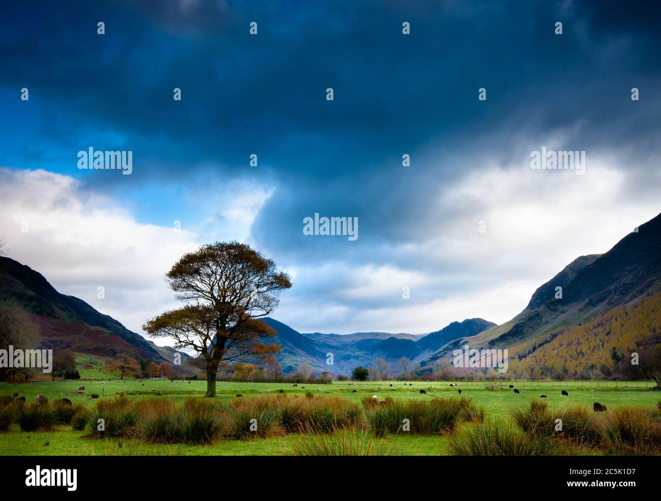 Promenade au lac buttermere Banque de photographies et d’images à haute ...