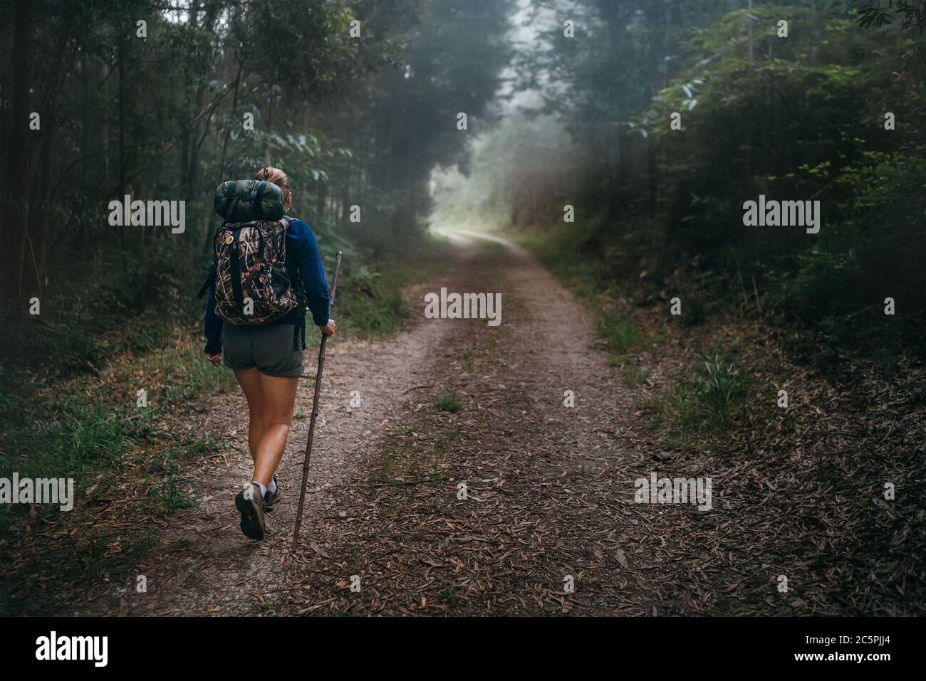 Chemin de Saint James en Espagne du nord. Pèlerin randonneur femelle ...