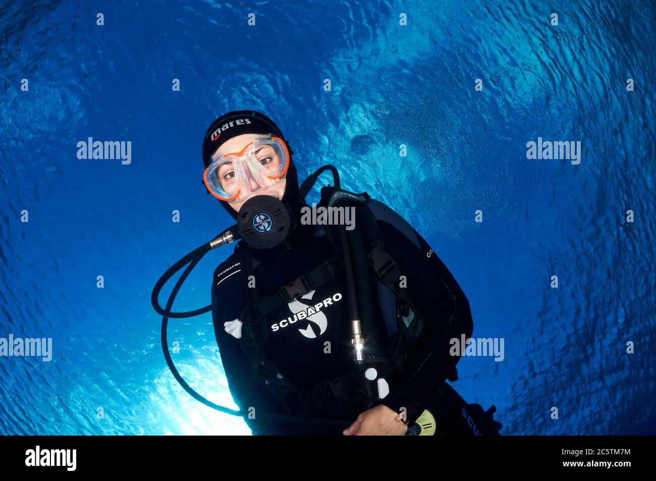 Portrait sous-marin de plongée femelle, regardant la caméra avec la ...
