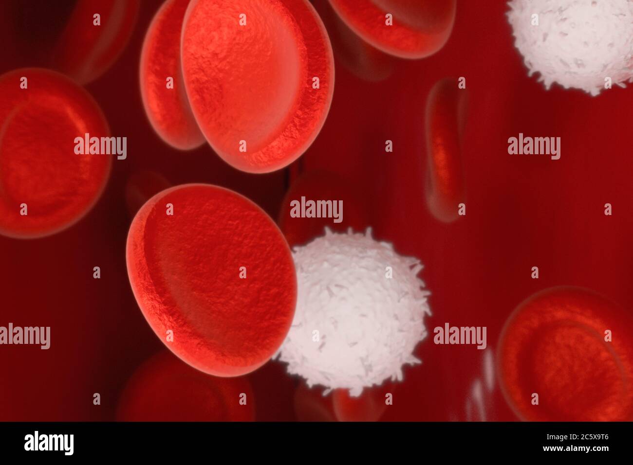 Globules rouges et blancs dans le vaisseau sanguin, rendu 3d. Dessin ...