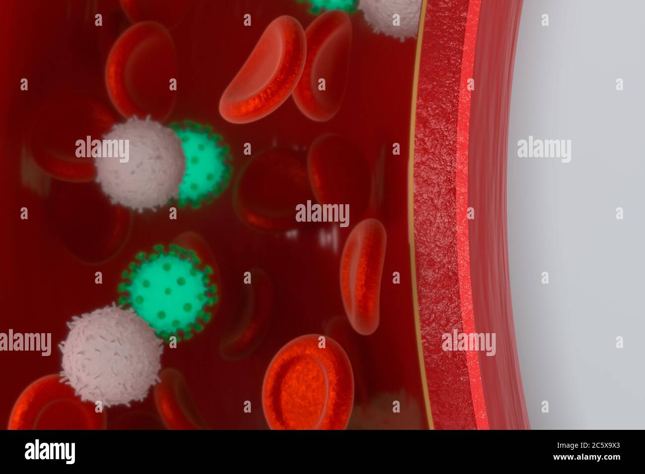 Virus dans le vaisseau sanguin, avec globules rouges et blancs, rendu ...