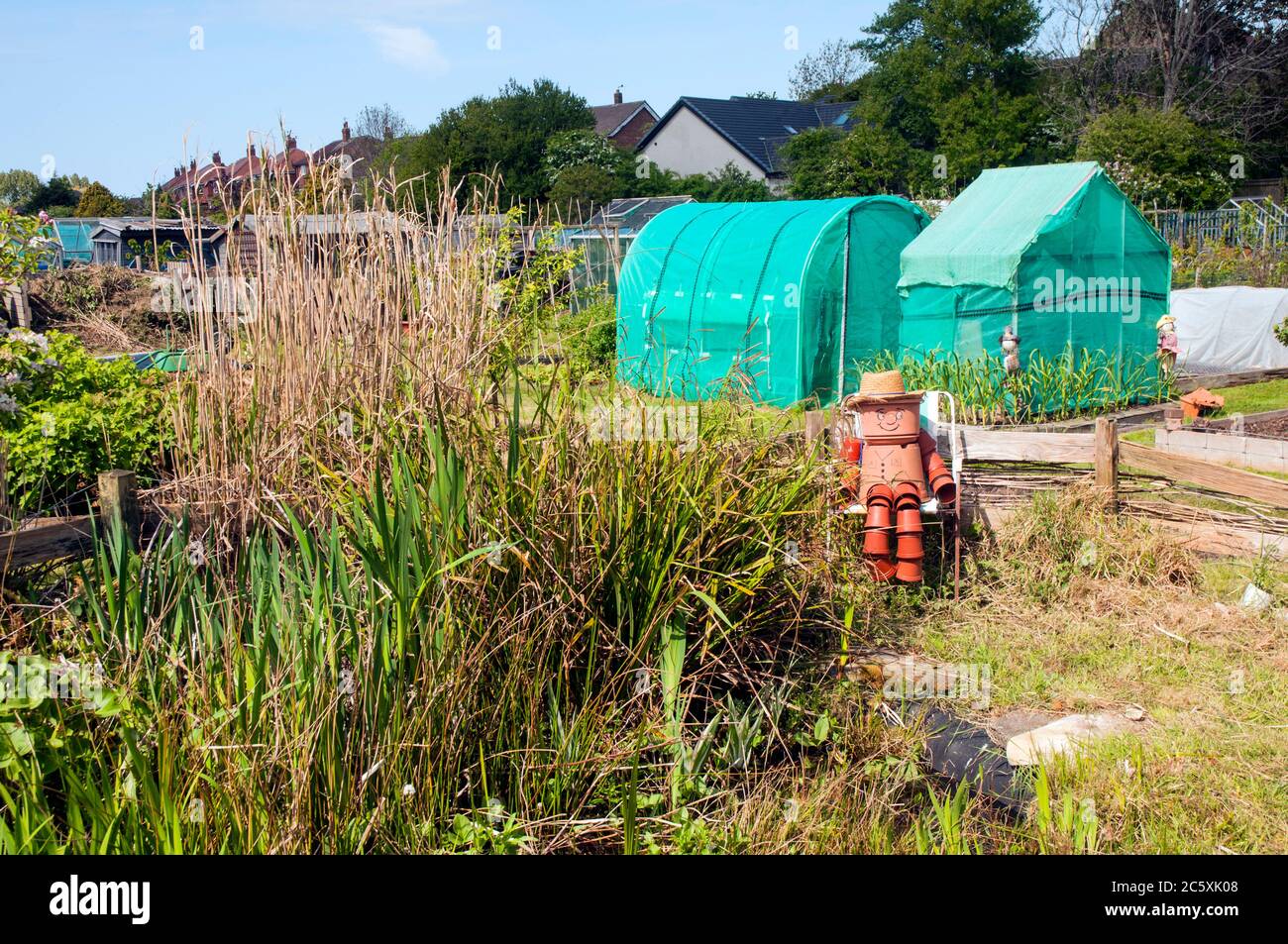 Un homme assis sur l'herbe Banque de photographies et d’images à haute ...