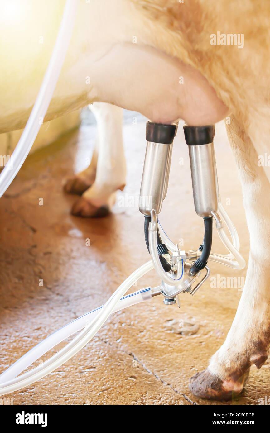 Trayeuse électrique Banque de photographies et d’images à haute résolution - Alamy