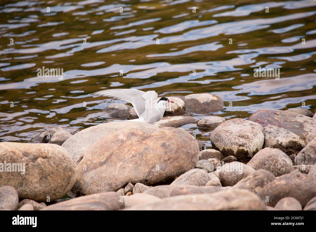 Teno river Banque de photographies et d’images à haute résolution - Alamy