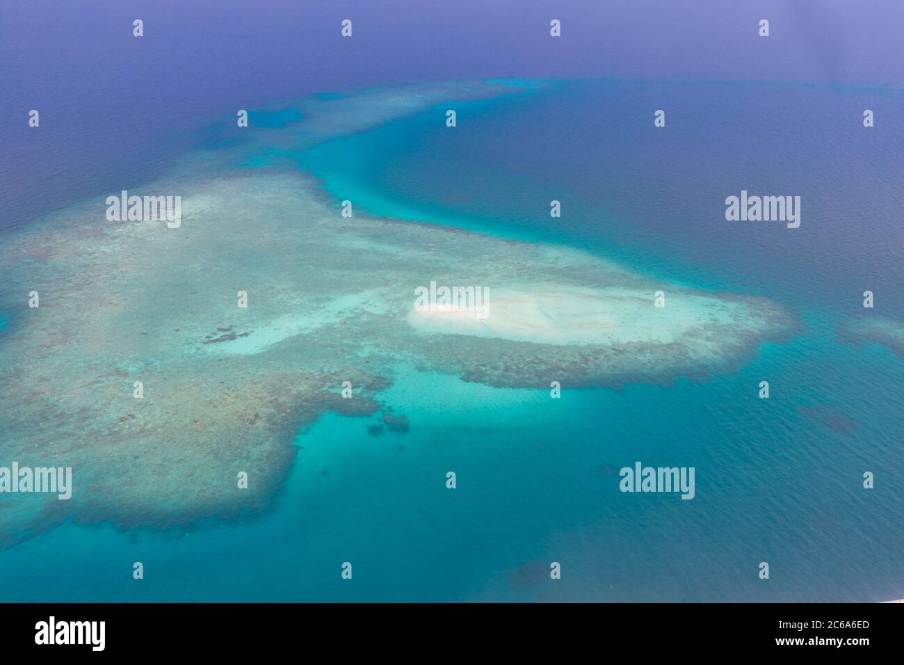 Paradis de corail Banque de photographies et d’images à haute ...
