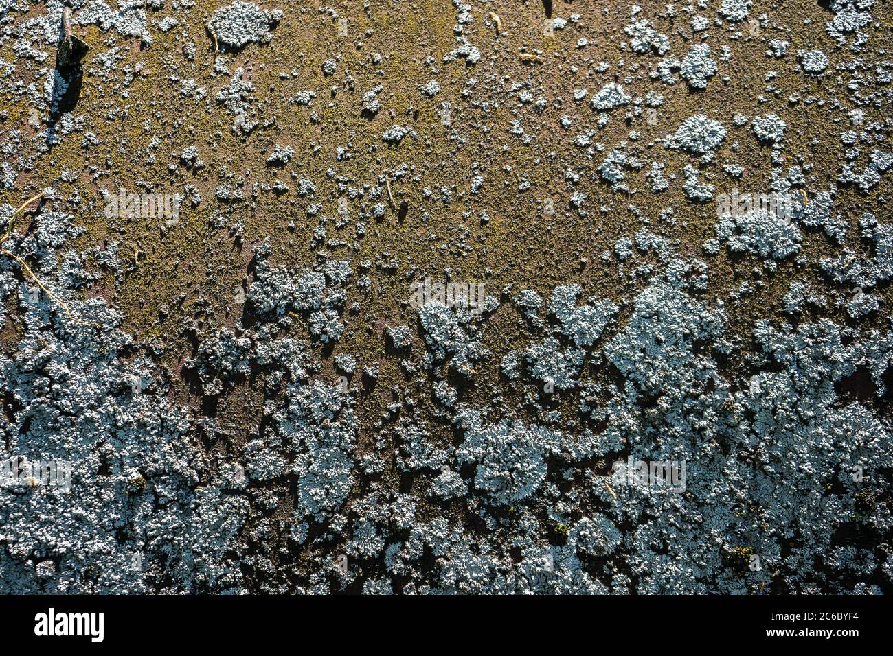 texture de fer rouillée sur fond. Texture métallique ancienne Photo ...