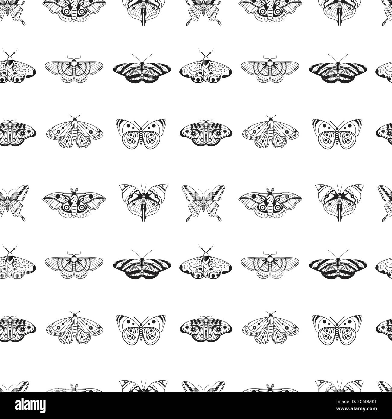 Tropical insects Banque d'images vectorielles - Alamy