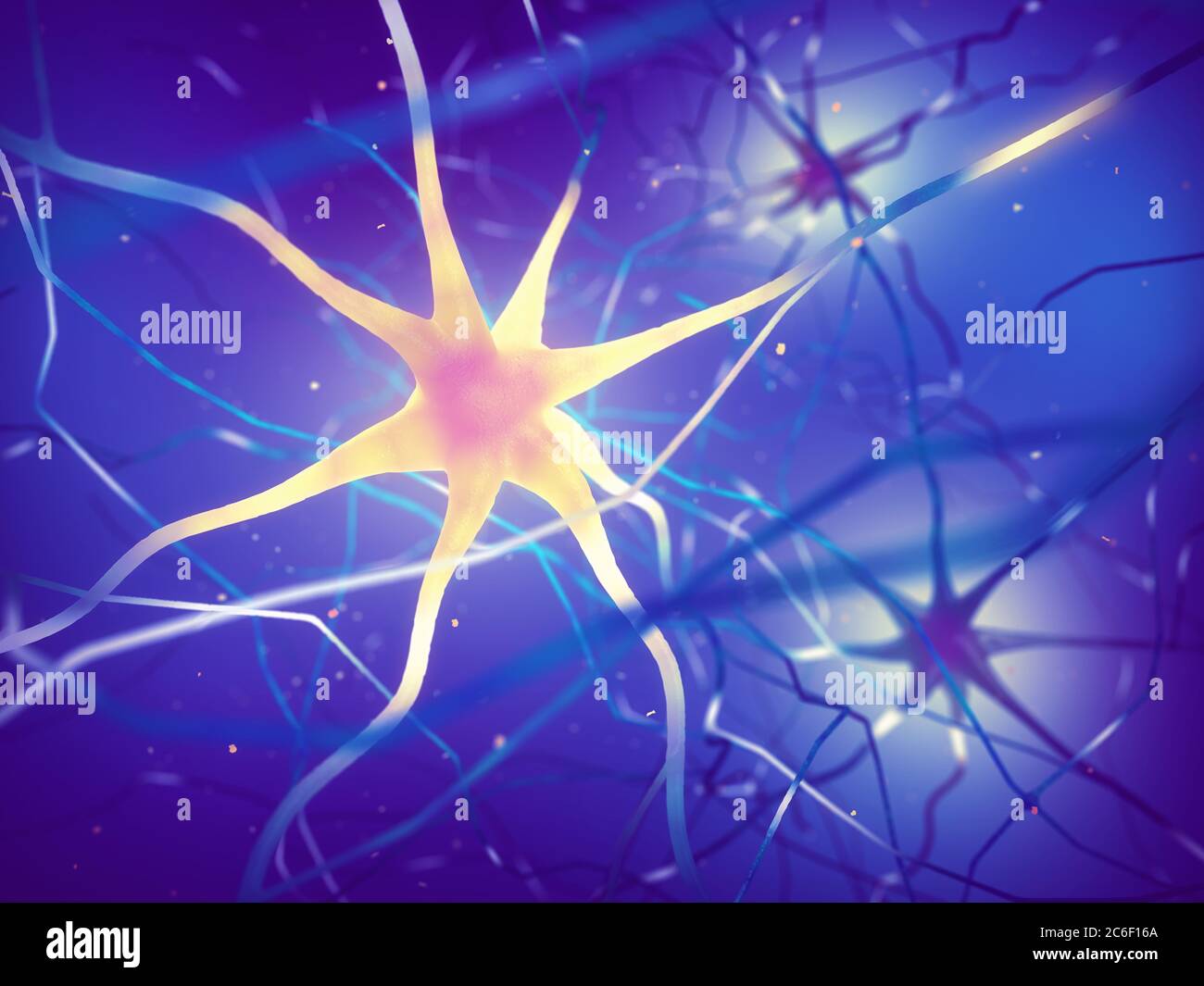 Cellule nerveuse du cerveau humain Banque de photographies et d’images à haute résolution - Alamy