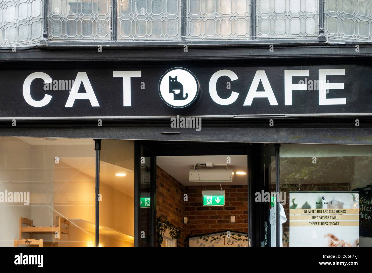 Cat cafe Banque de photographies et d’images à haute résolution - Alamy
