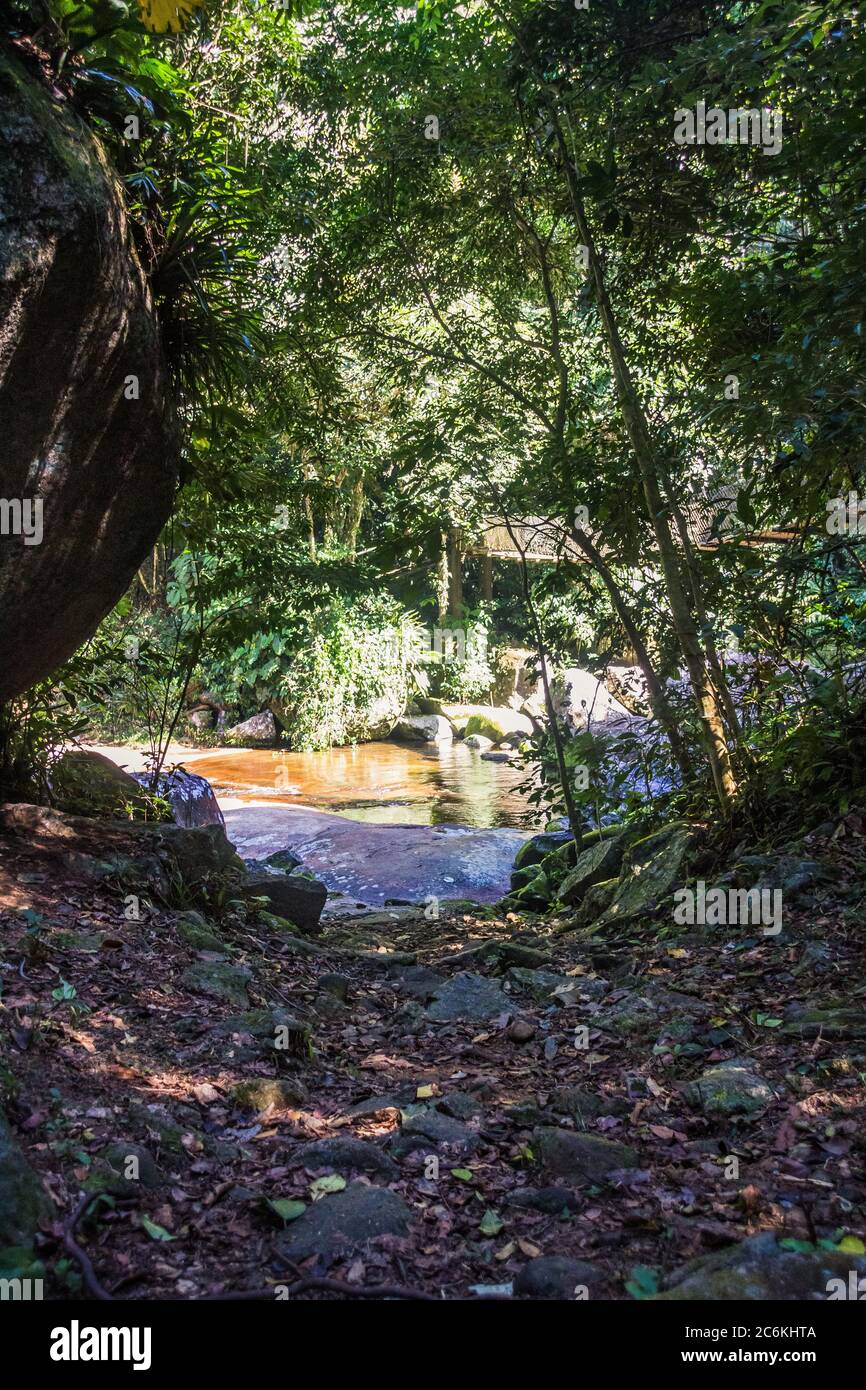Forêt atlantique brésilienne Banque de photographies et d’images à ...