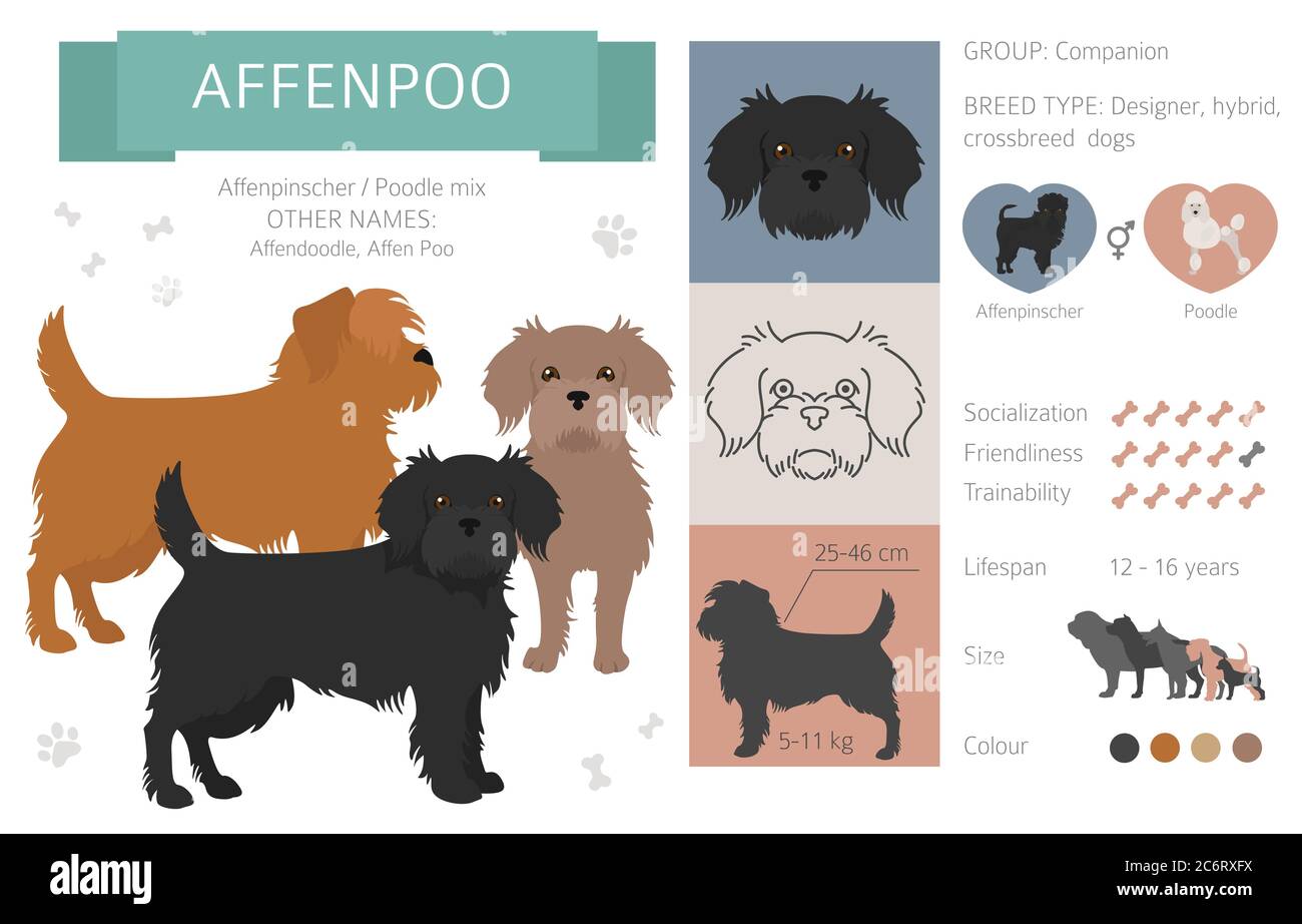 Affen poo Banque de photographies et d’images à haute résolution - Alamy