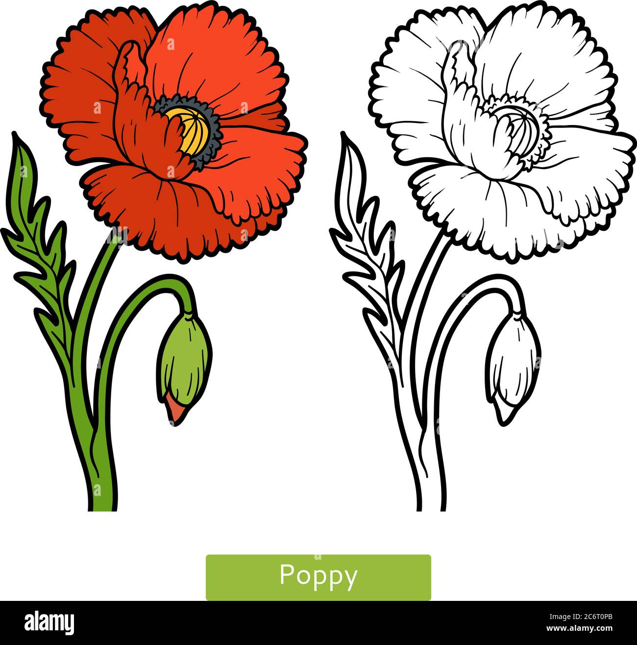 Livre de coloriage pour enfants, coquelicot fleur Image Vectorielle ...