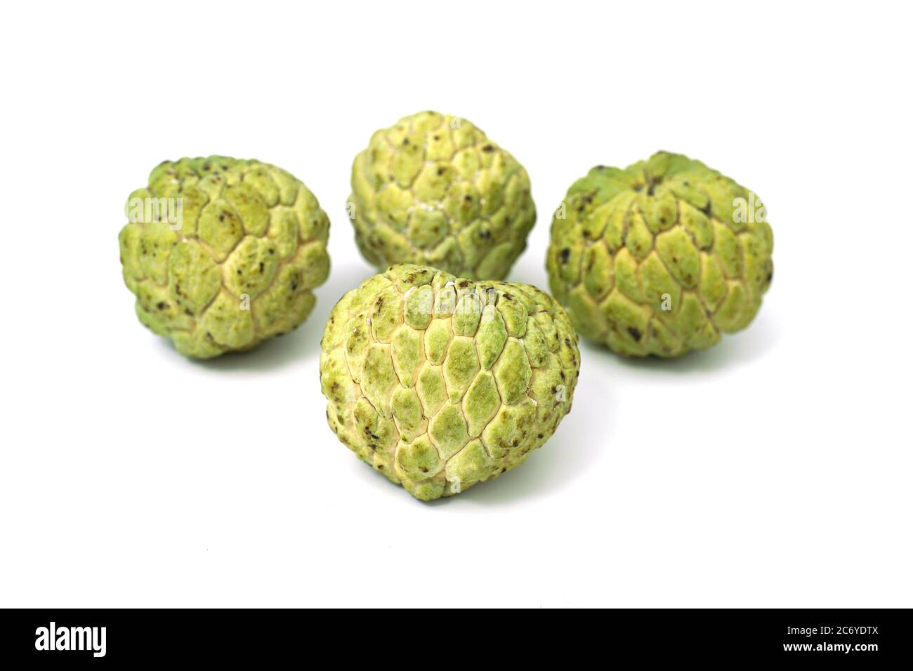 Pomme à sucre Banque de photographies et d’images à haute résolution ...