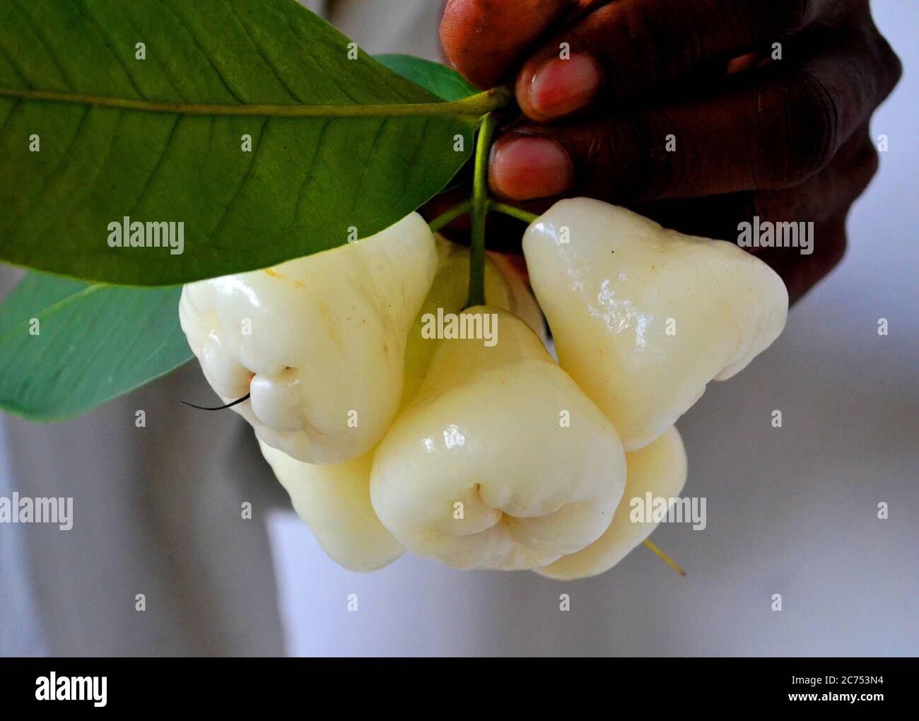 Tanzania zanzibar fruit Banque de photographies et d’images à haute ...