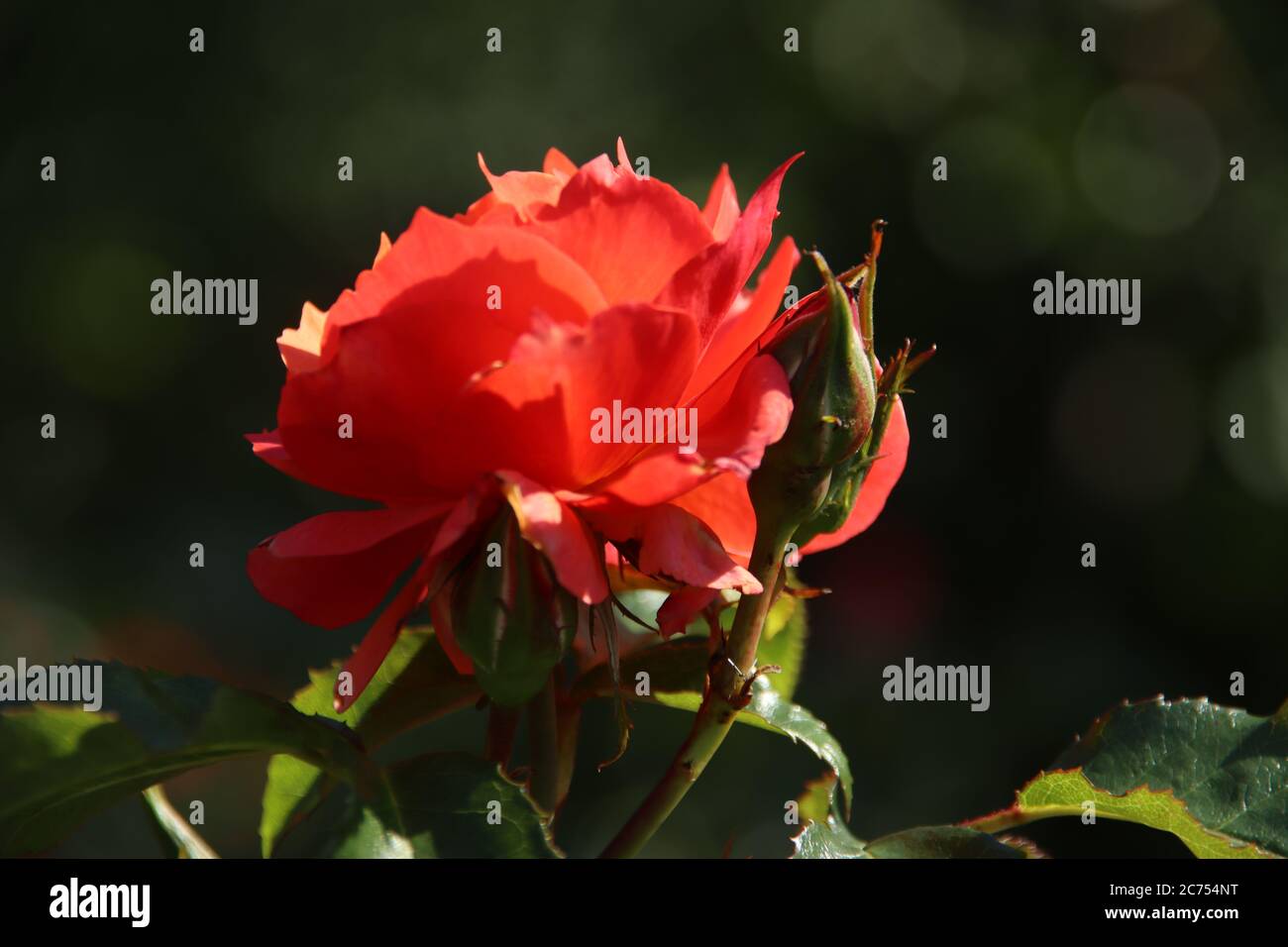 Isa village Banque de photographies et d’images à haute résolution - Alamy