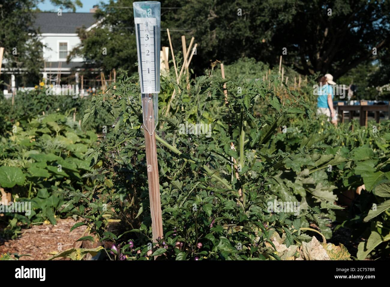 Sol de parcelle Banque de photographies et d’images à haute résolution ...