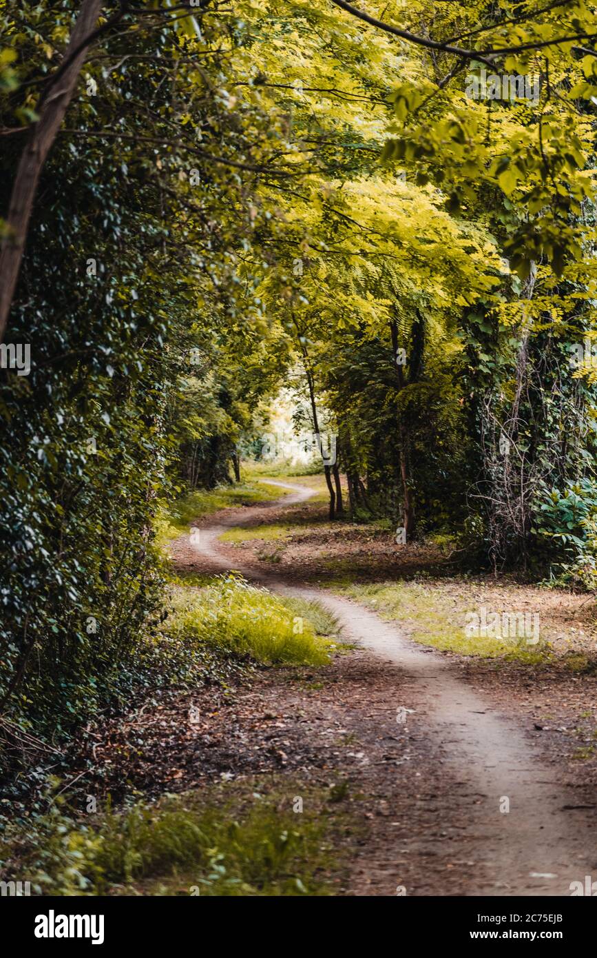 Chemin de gravier sinueux Banque de photographies et d’images à haute ...
