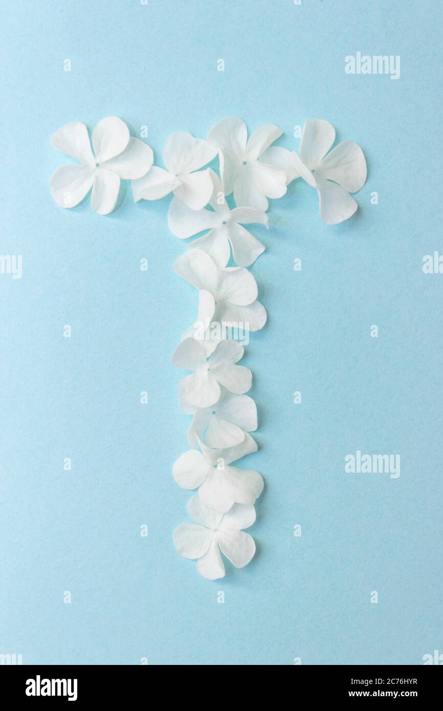 Lettre t fleurs Banque de photographies et d’images à haute résolution ...