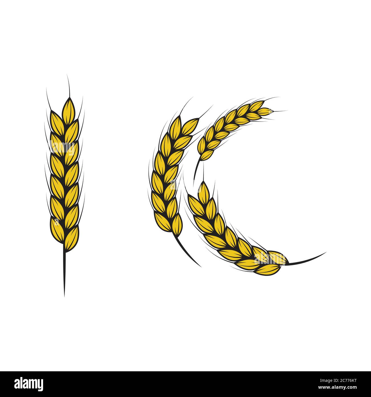 Graine de riz Banque d'images vectorielles - Alamy