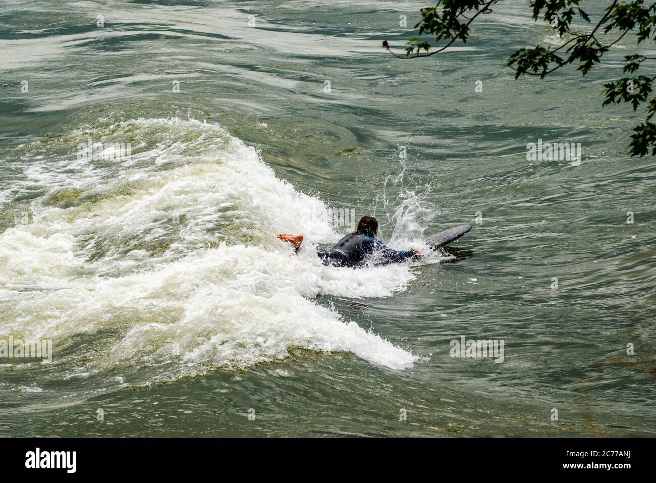 Surfeur montréal Banque de photographies et d’images à haute résolution ...