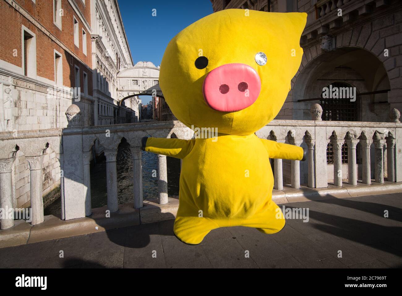 Cochon jaune Banque de photographies et d’images à haute résolution - Alamy