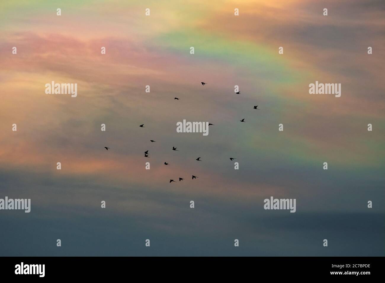 Phénomène rare Banque de photographies et d’images à haute résolution ...