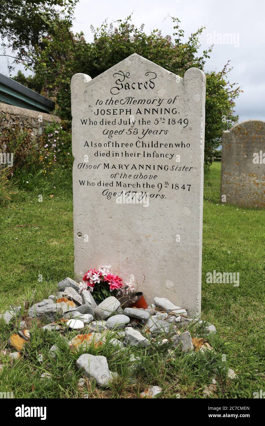 Fossil hunter mary anning Banque de photographies et d’images à haute ...