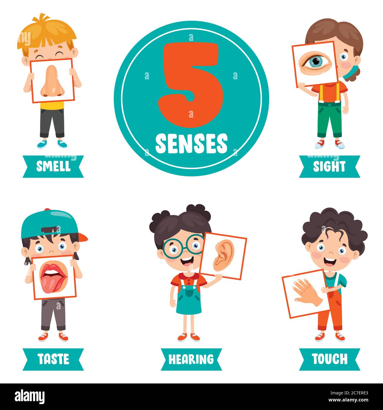 Five senses illustration Banque de photographies et d’images à haute ...